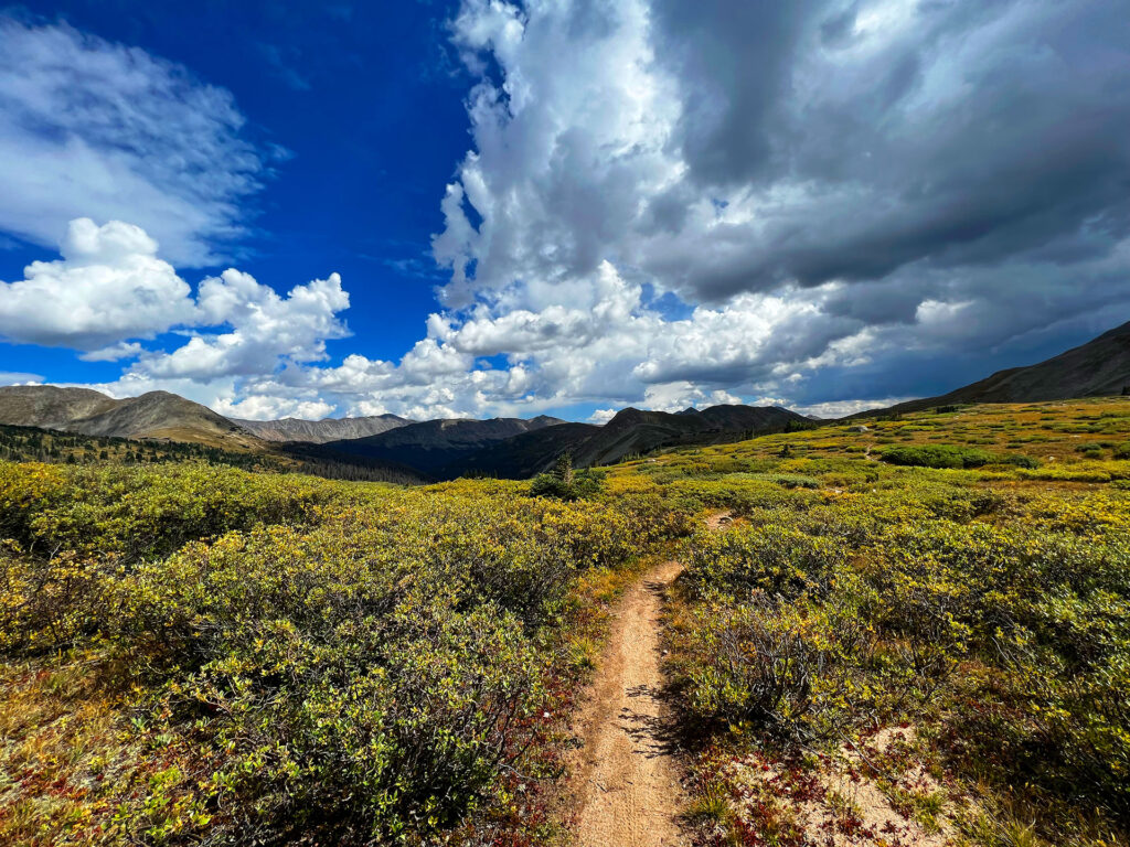 Summer - Monarch Mountain at the Crest